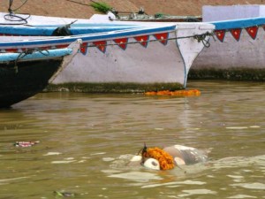 50+ Scary Images Depicting Filth of Varanasi & River Ganges
