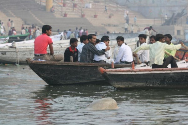 50+ Scary Images Depicting Filth of Varanasi & River Ganges