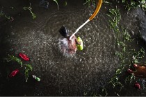 Ugly Reality of Yamuna - India's Most Polluted River (In Pictures)