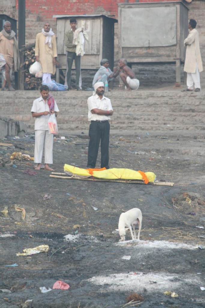 50+ Scary Images Depicting Filth of Varanasi & River Ganges