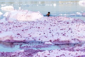 Ugly Reality of Yamuna - India's Most Polluted River (In Pictures)