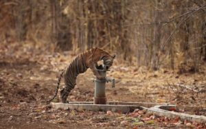 Over 30 Scary Pictures Depicting India’s Worsening Water-Crisis