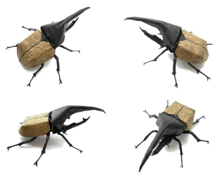 This self-taught origami artist creates awesome wildlife with paper ...
