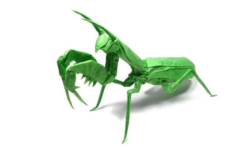 This self-taught origami artist creates awesome wildlife with paper ...