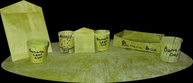 Banana Leaf Technology to Replace Single-use Plastic