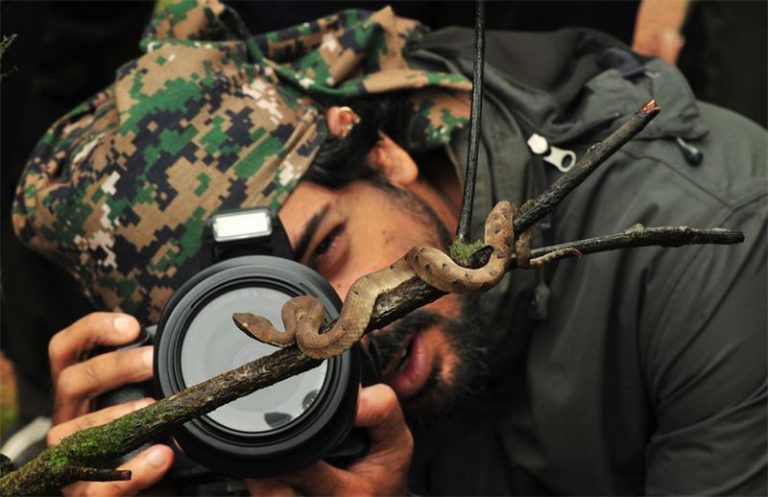 15 Indian Conservationists Safeguarding Wildlife