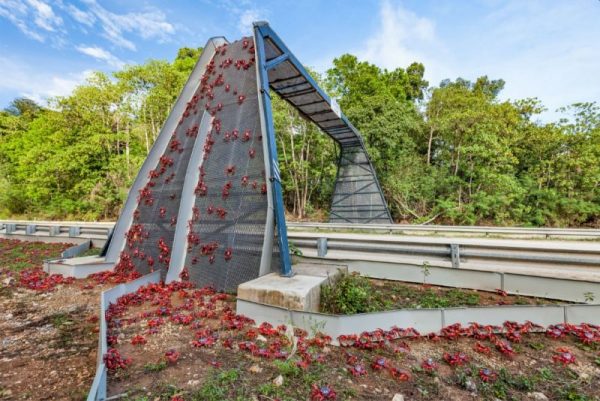 26 Most Important Wildlife Corridors in the World