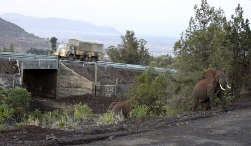 26 Most Important Wildlife Corridors in the World
