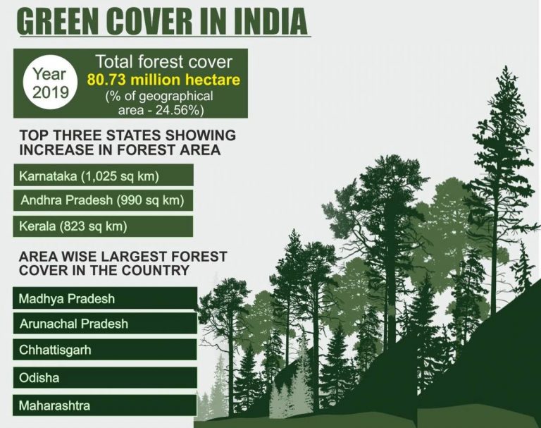 Shrinking Forest Cover in India, Government Reports Claim Otherwise