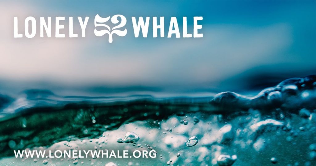 30 Ocean Conservation Organizations fighting to Save Marine Biodiversity