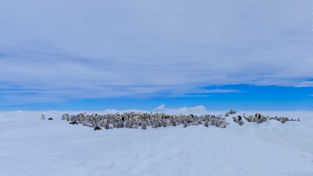 Majestic Animals in Their Natural Environment (In Pictures)