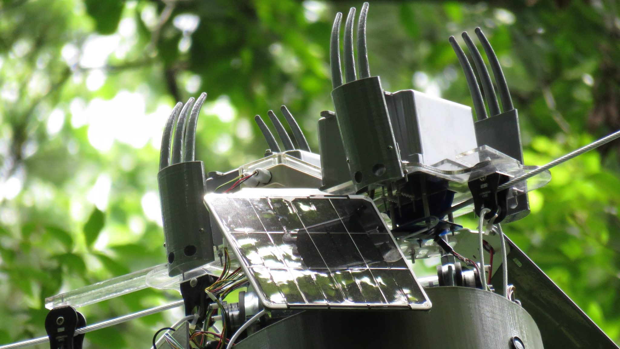 SlothBot to Help Gather Information about Endangered Flora and Fauna