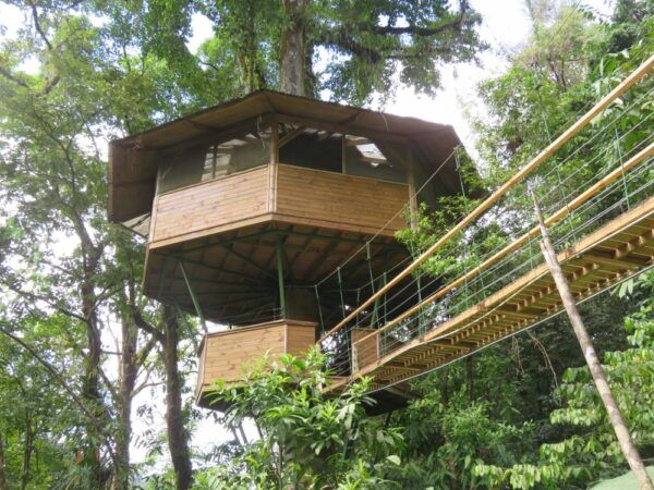 10 Best Eco-Friendly Treehouses in the World
