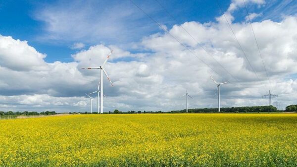 Italy’s First Offshore Wind Farm is Officially up for Commercial Operations
