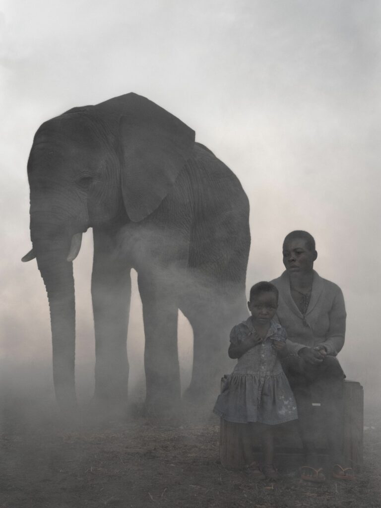 Engrossing Photos of Climate Change-Impacted People & Animals