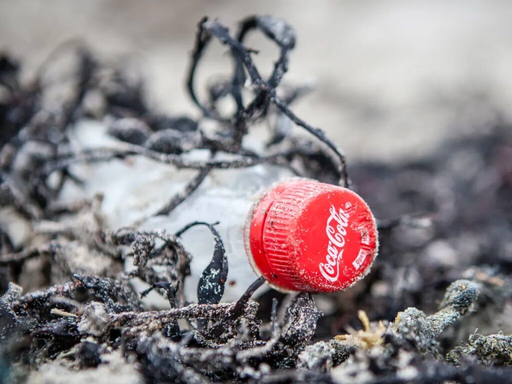 COP 27 Sponsor, Coca-Cola Tops World’s Plastic Pollution Chart