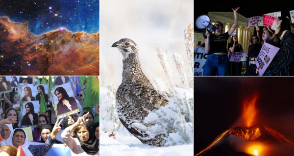 60+ Most Moving and Memorable Pictures of 2022