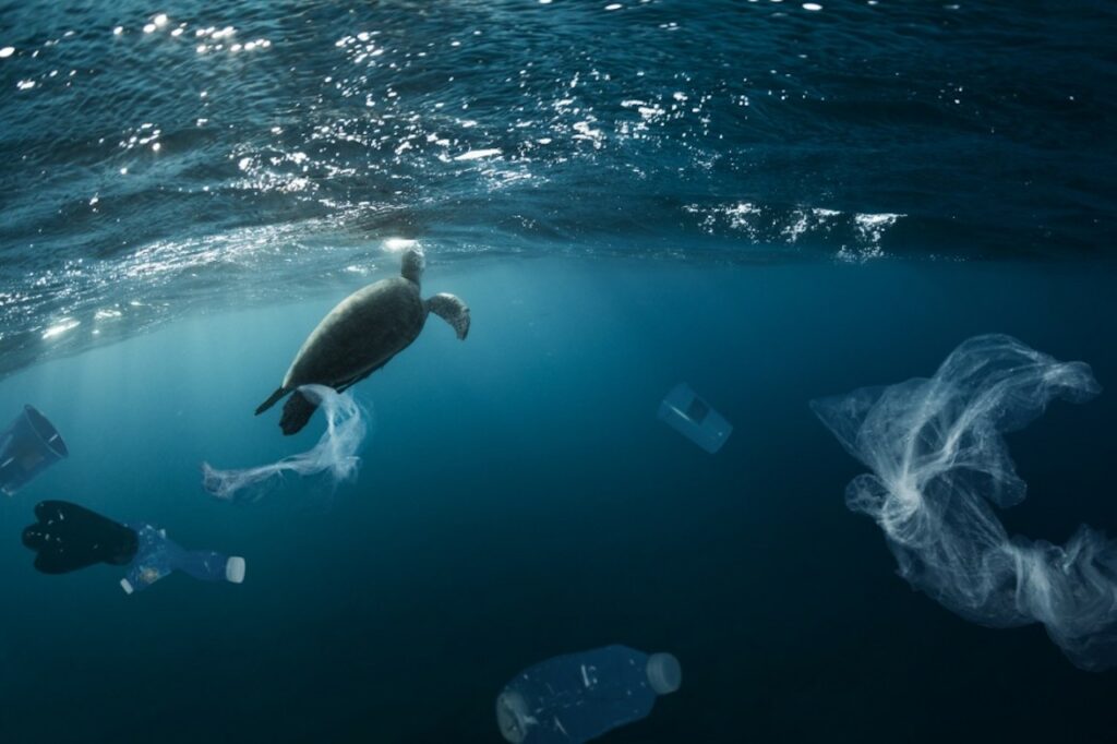 170 Trillion Plastic Particles Float in World's Oceans